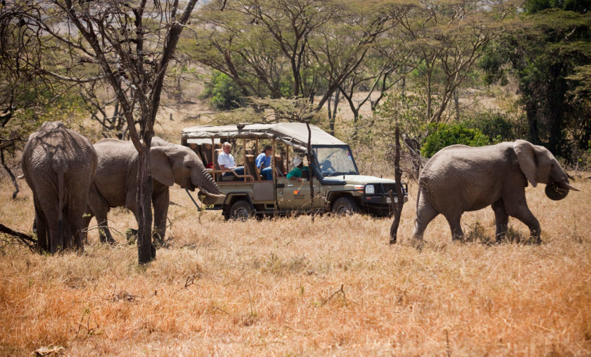 Tour Kenya – Explore The Magical Kenya